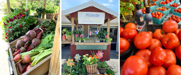 Best nj farm stands - builderstery