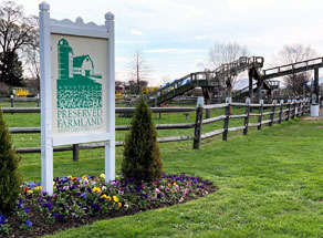 Home | Alstede Farms | NJ