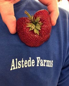 Home | Alstede Farms | NJ