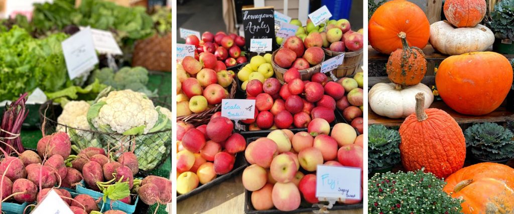 Farm Stand - Chester, NJ | Alstede Farms | NJ