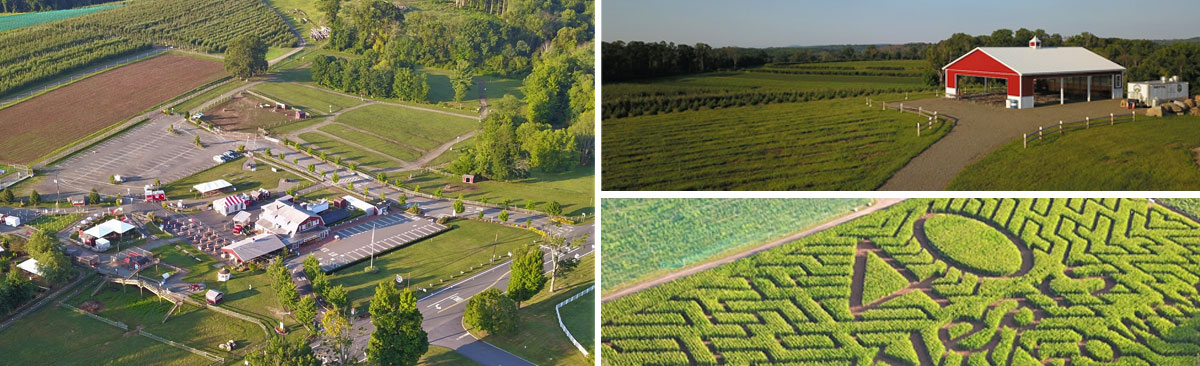 40th Anniversary of Alstede Farms | Alstede Farms | NJ