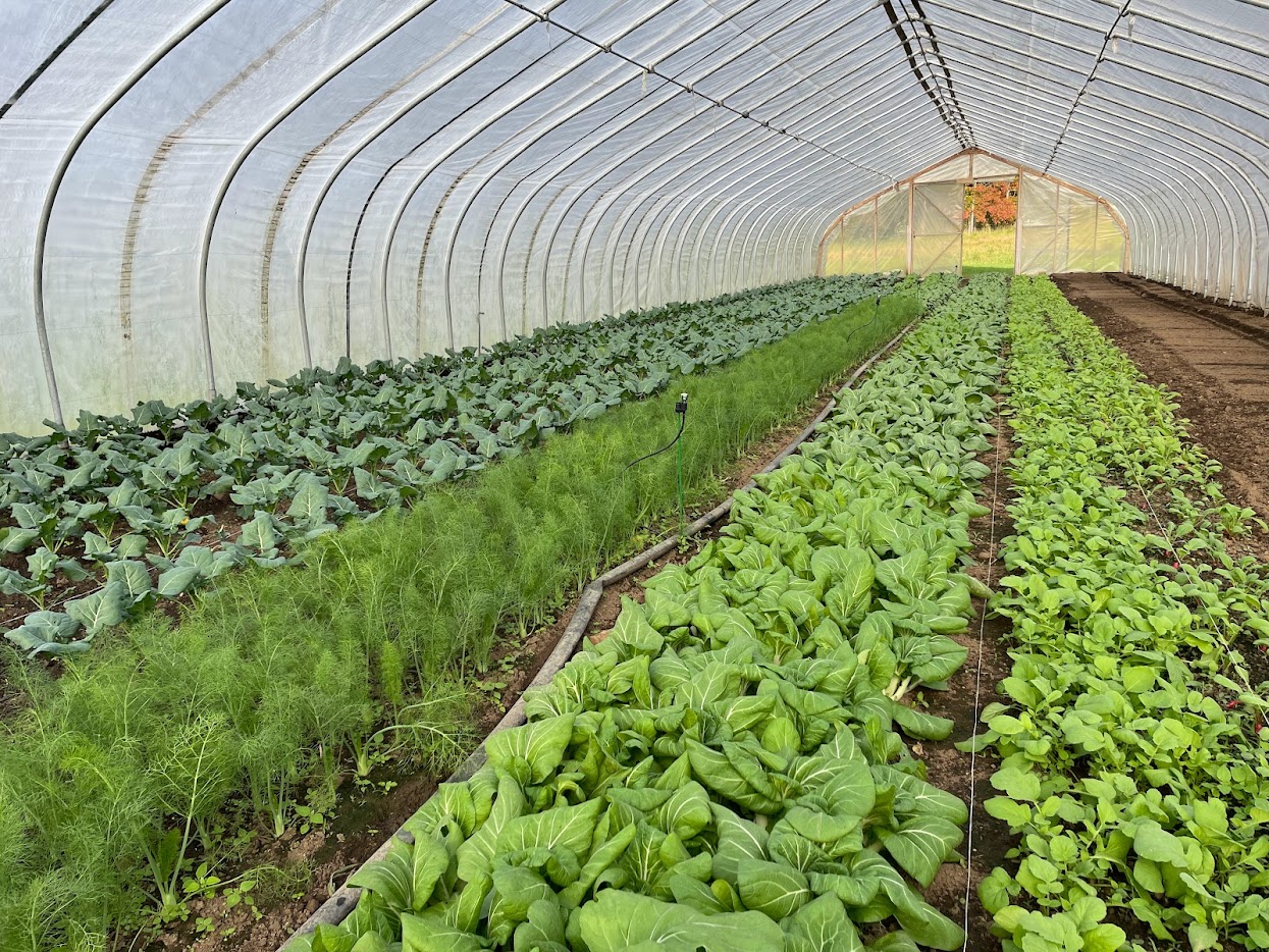 Growing Through the Seasons | Alstede Farms | NJ