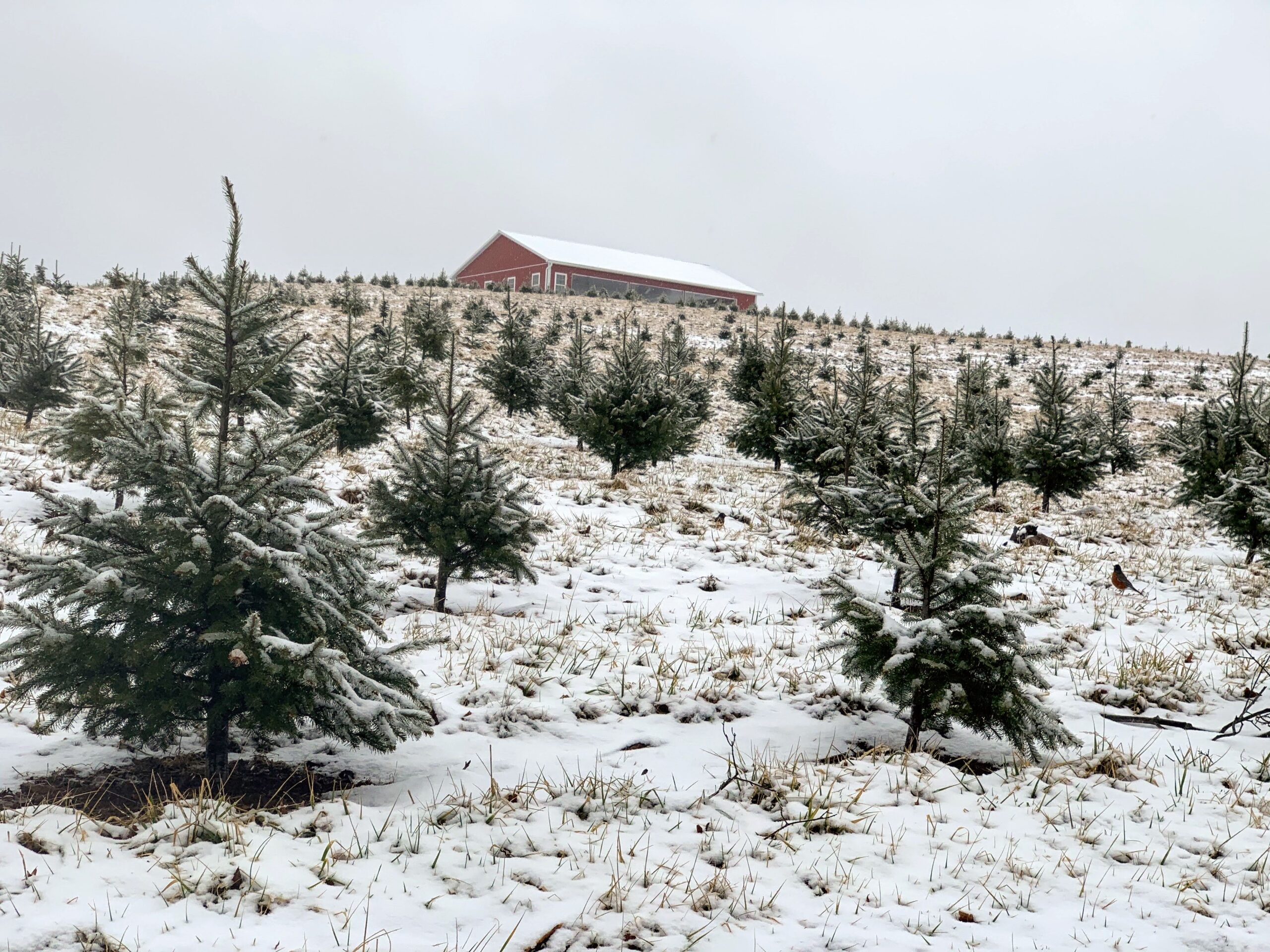 A Farm for All Seasons | Alstede Farms | NJ