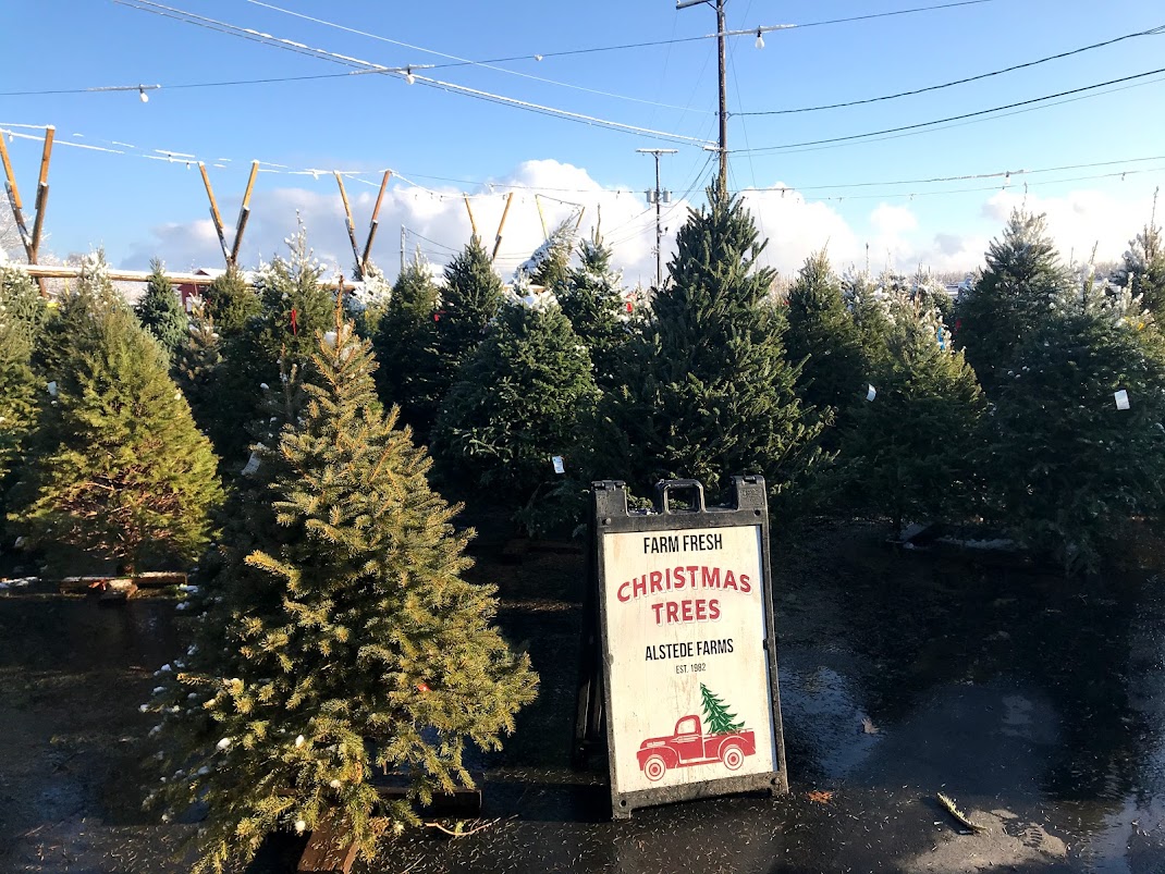 Yule Be Home for Christmas | Alstede Farms | NJ