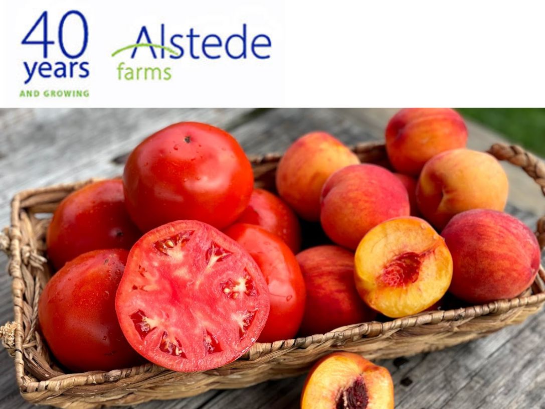 Summer Harvest Time | Alstede Farms | NJ