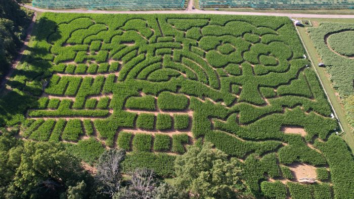 A-MAIZE-ing Fun Awaits | Alstede Farms | NJ