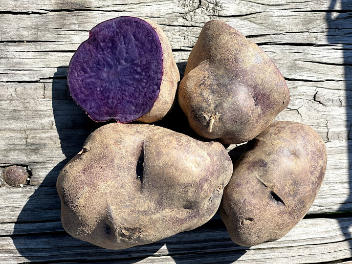 Roasted Garlic Purple Mashed Potatoes | Alstede Farms
